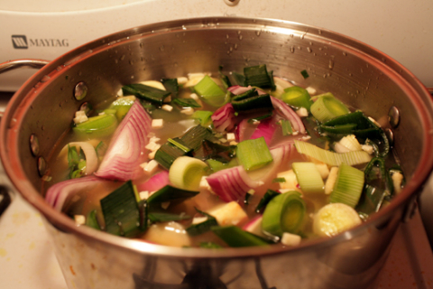 Mmmf 009 – Travis Louie’s Magic Soup – Zoetica Ebb // Biorequiem.com