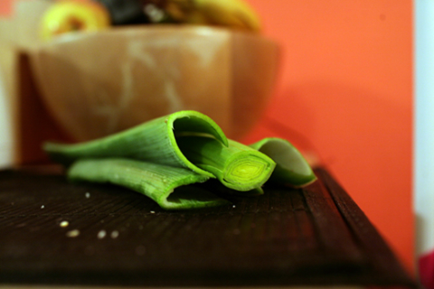 Mmmf 009 – Travis Louie’s Magic Soup – Zoetica Ebb // Biorequiem.com