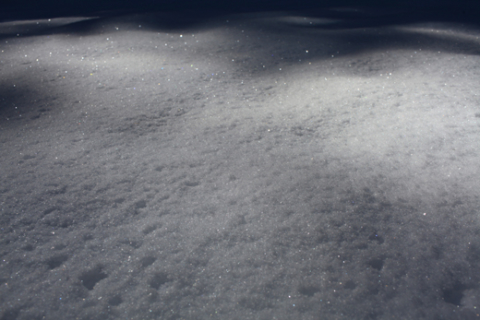 Photo Flurry 115 – Snow-dusted New Year’s Eve – Zoetica Ebb ...